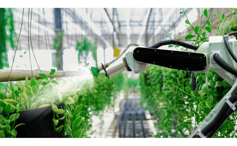 What are Different Types of Vertical Farming? Explore!